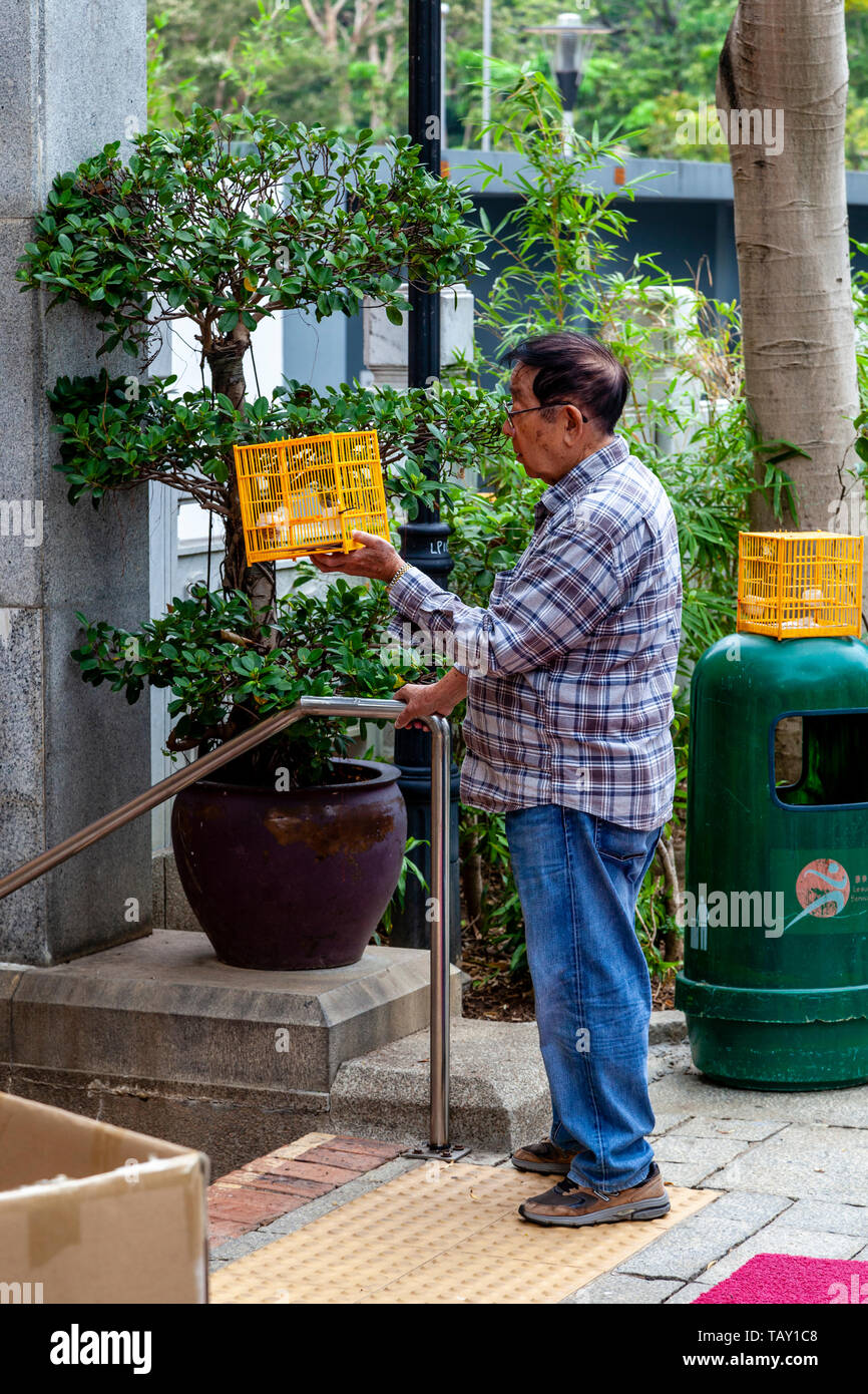 A Man Holding A Bird Cage, Yuen Po Bird Garden, Hong Kong, China Stock ...
