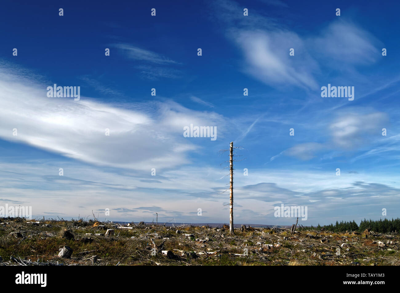 Hallam moors hi-res stock photography and images - Alamy