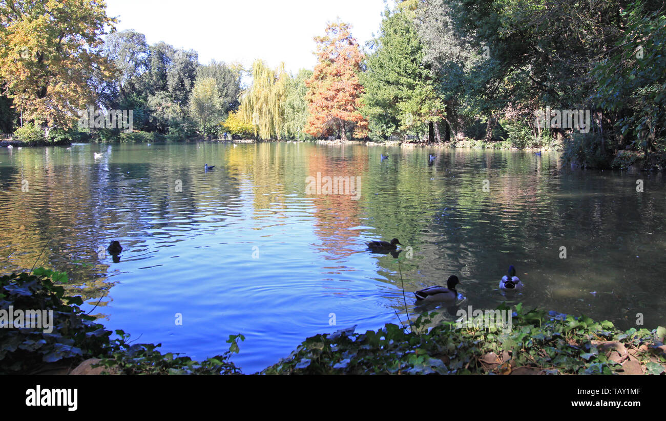 Big pond hi-res stock photography and images - Alamy