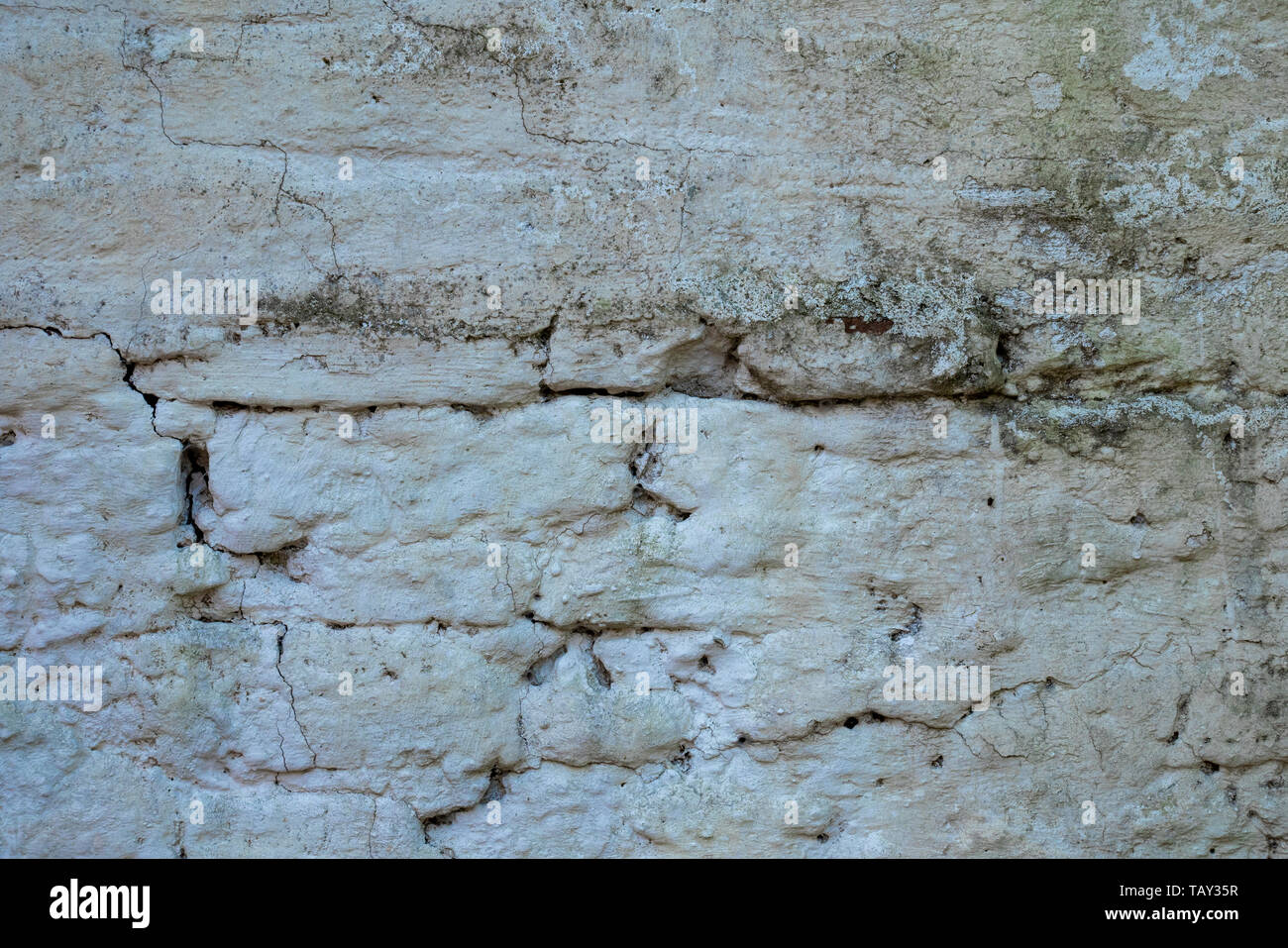 Old wall with mold, musk and peeling. Pathologies of the construction ...