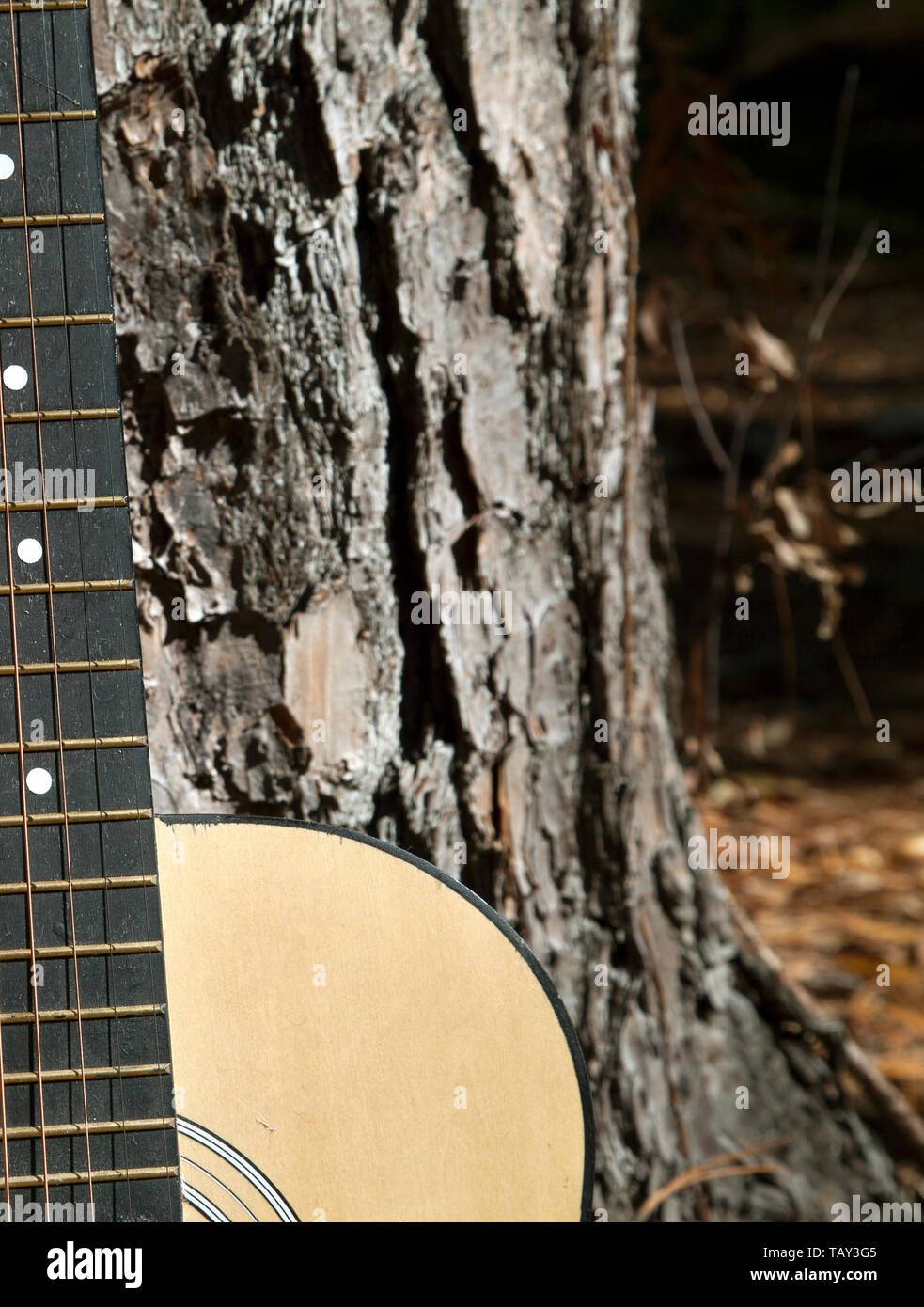 Propped Up Against Tree High Resolution Stock Photography and Images ...