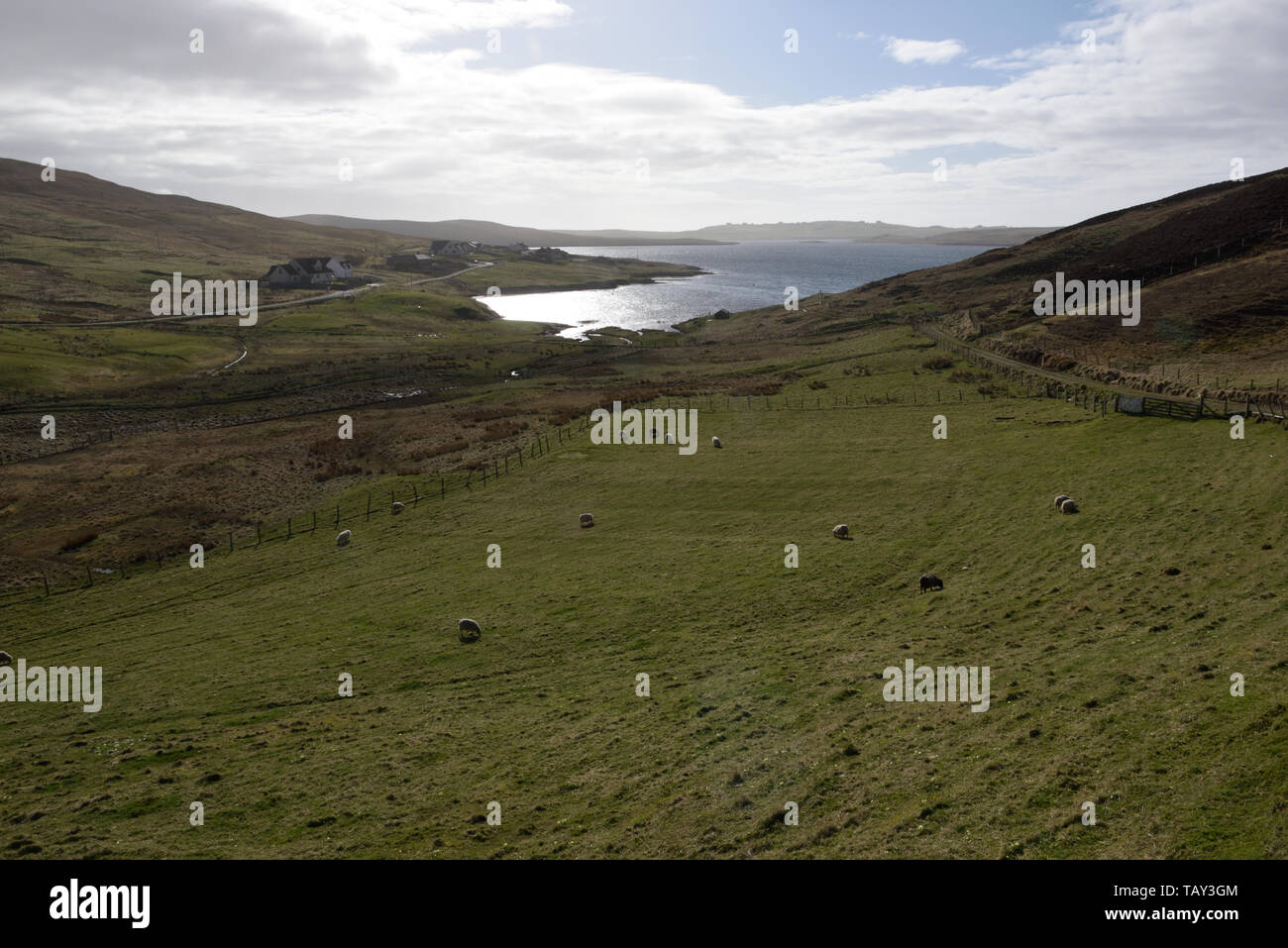 Quarff shetland hi-res stock photography and images - Alamy