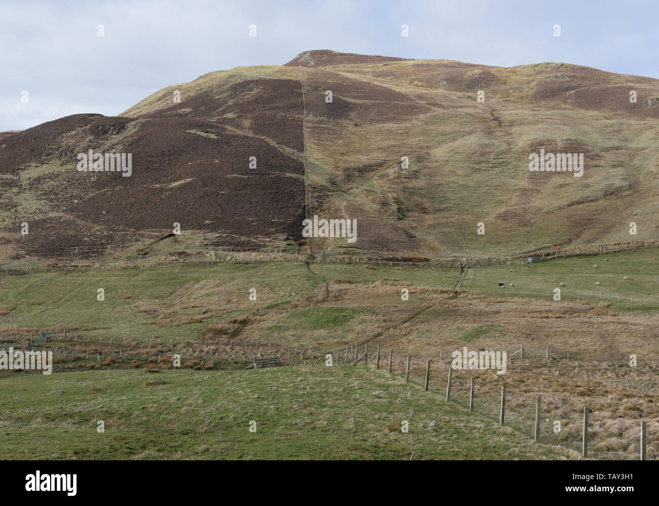 Quarff shetland hi-res stock photography and images - Alamy