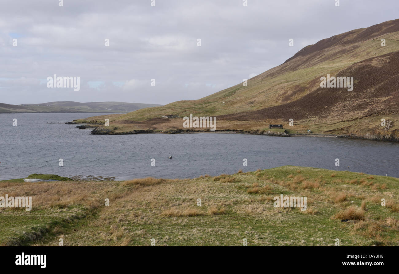Quarff shetland hi-res stock photography and images - Alamy