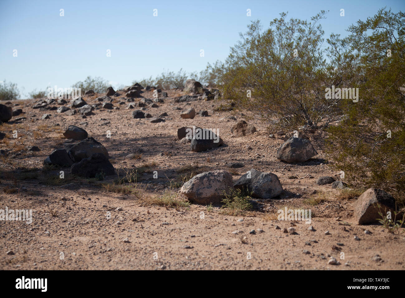Desert scrub and large rocks along a hiking path Stock Photo - Alamy