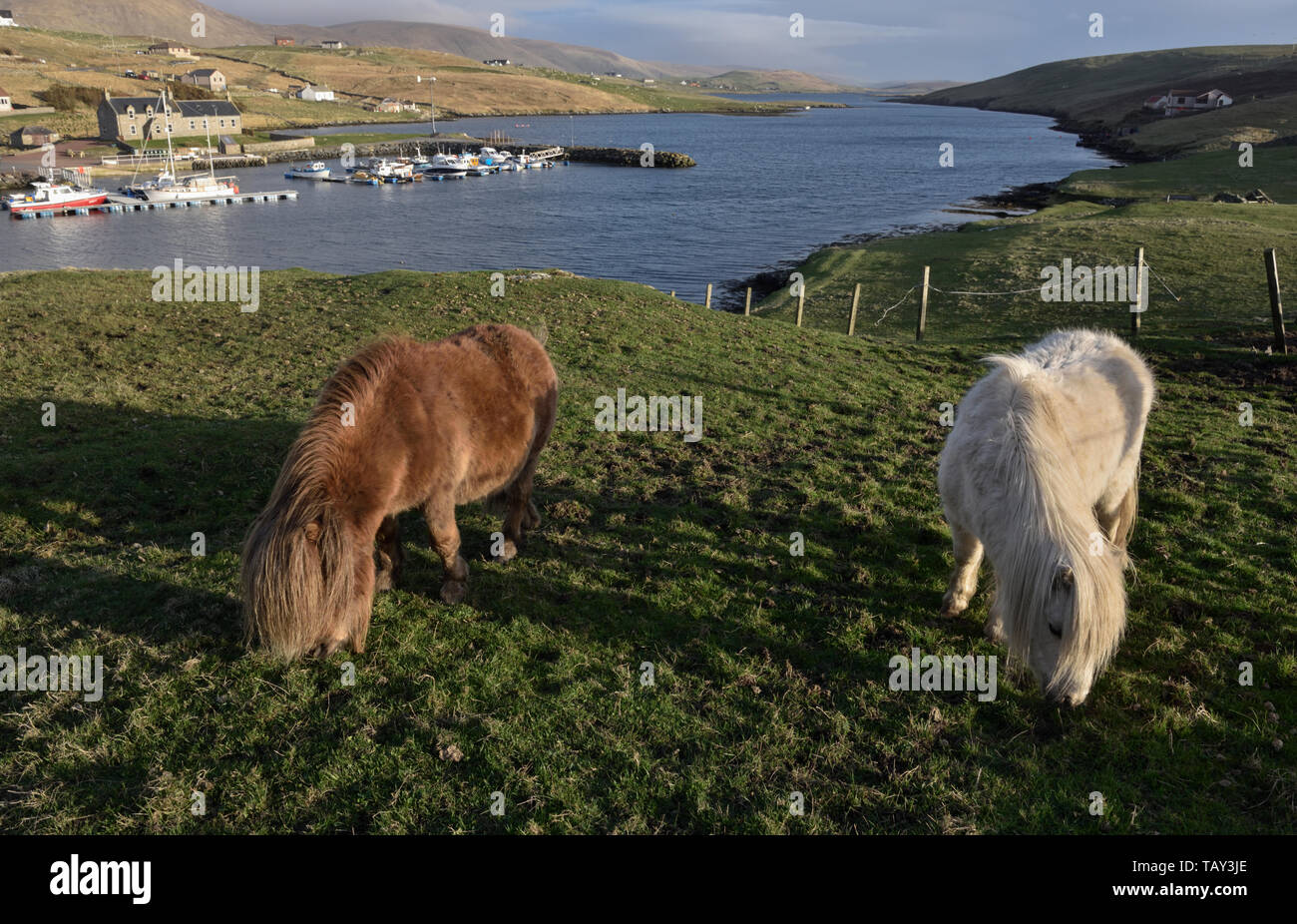 East burra hi-res stock photography and images - Alamy