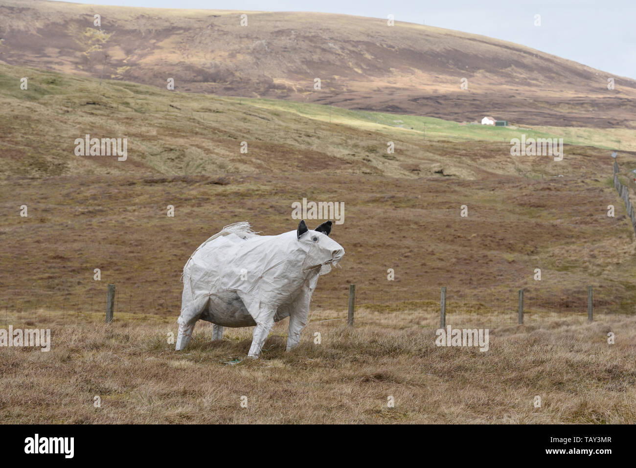 North Mainland, North Mavine, Shetland, Scotland, UK Stock Photo - Alamy