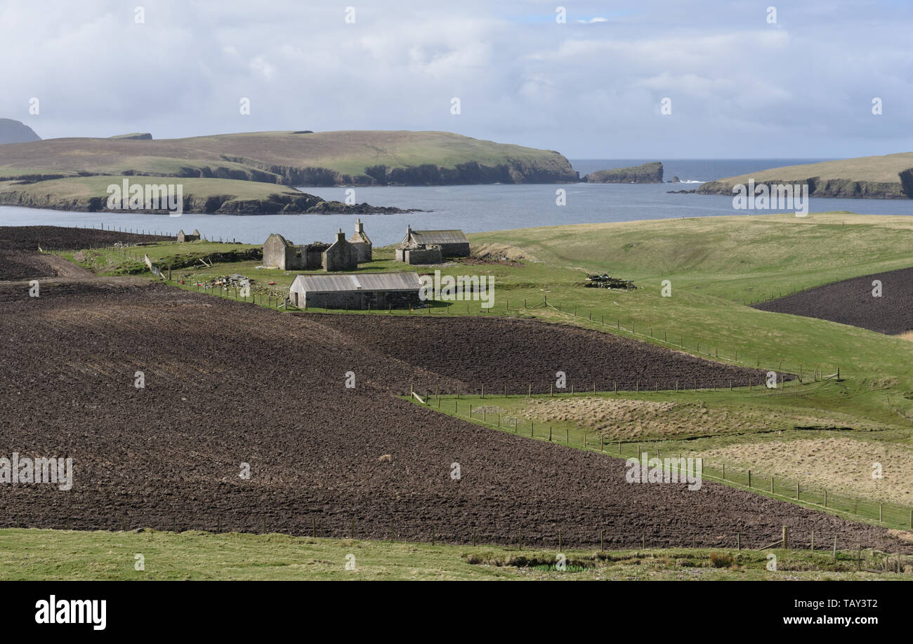 Shetland spiggie beach hi-res stock photography and images - Alamy