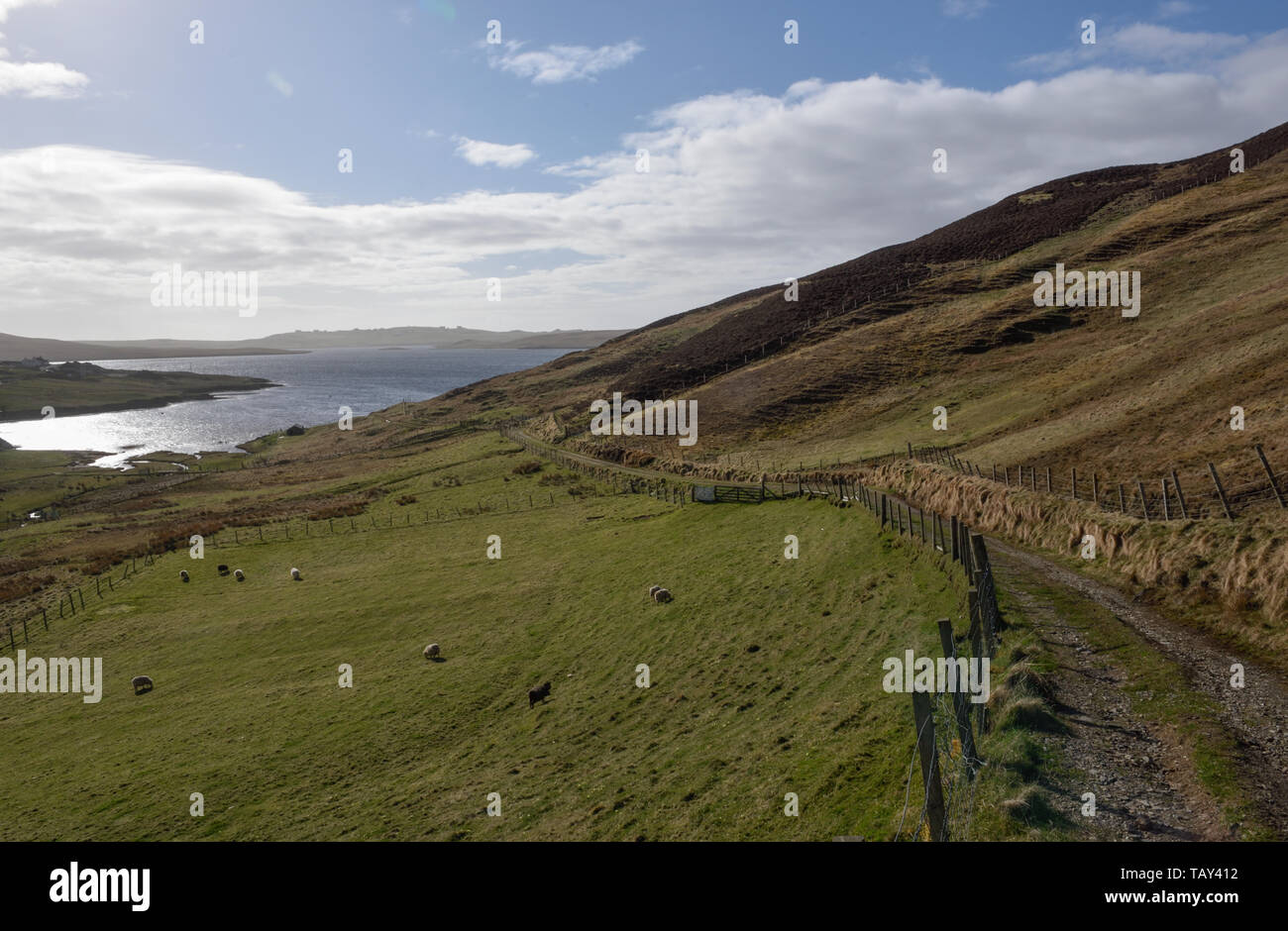 Road to Wester Quarff, Shetland, Scotland, UK Stock Photo - Alamy