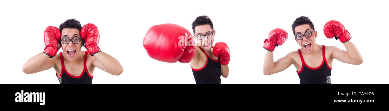 Funny boxer isolated on the white background Stock Photo - Alamy