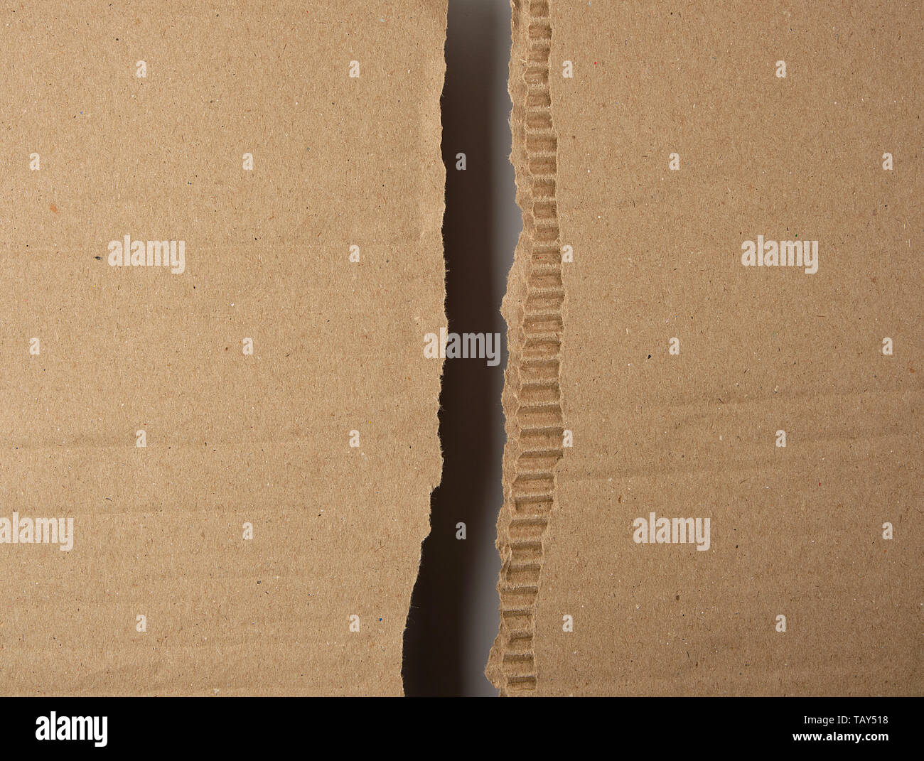 torn in half brown sheet of paper from under the box, a slot in the ...