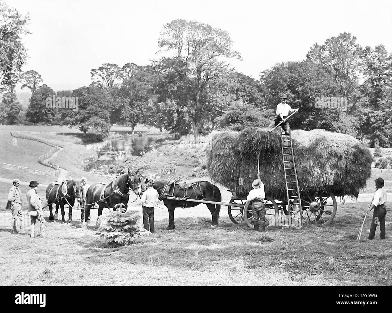 Victorian harvest hi-res stock photography and images - Alamy
