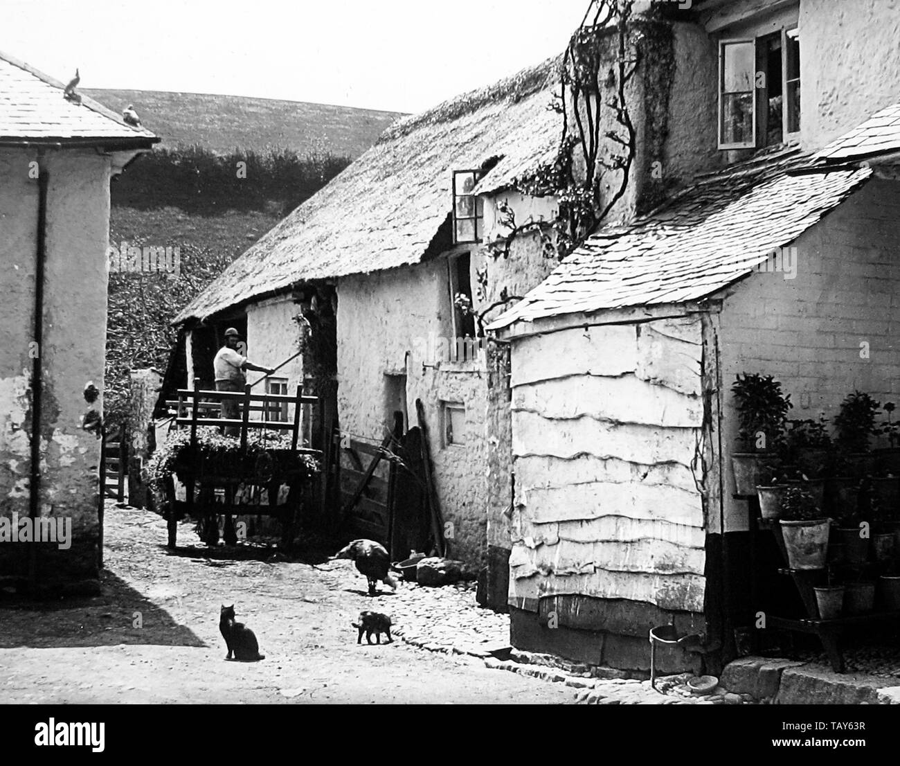 Edwardian farm hi-res stock photography and images - Alamy