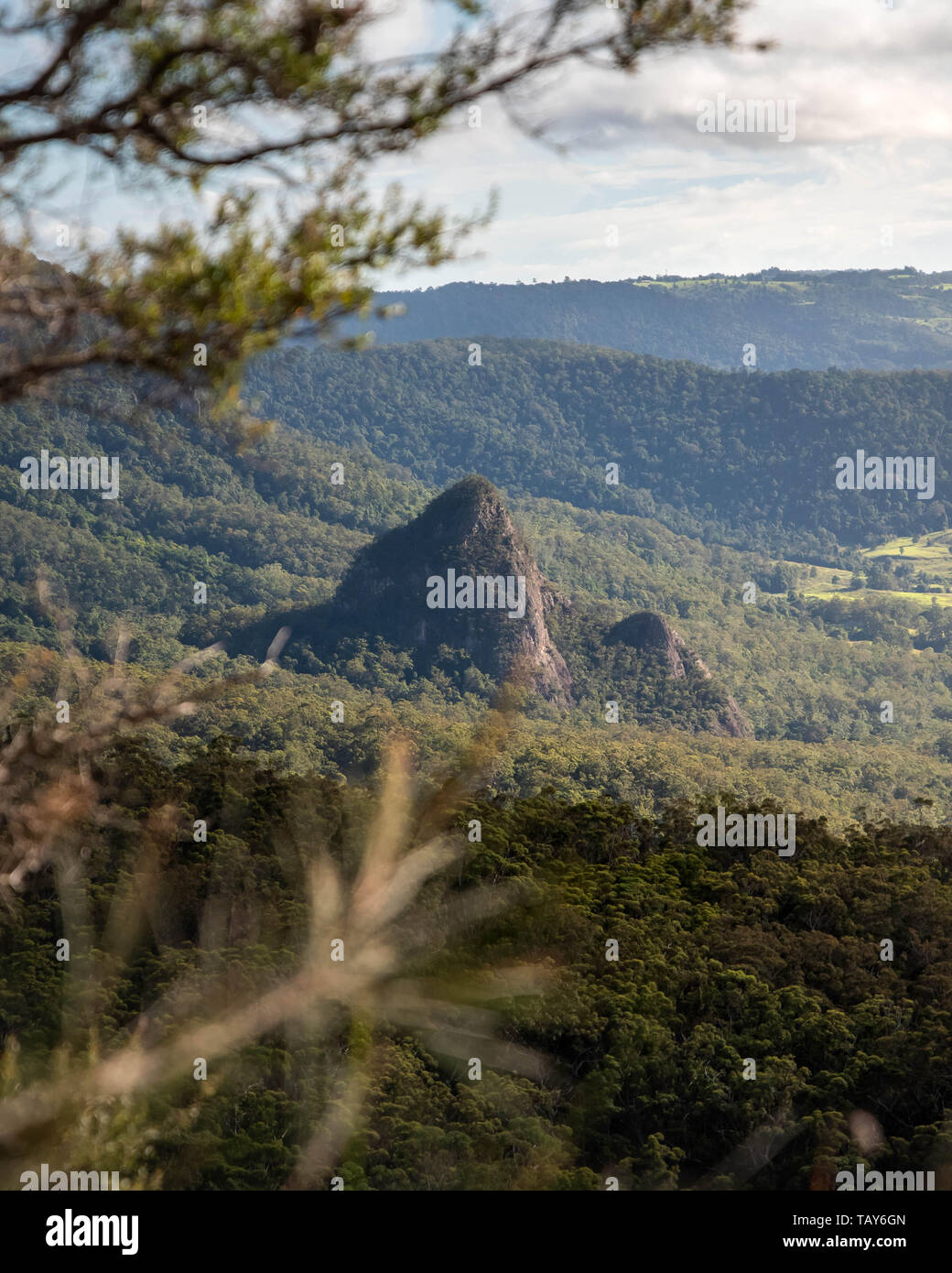 Beautiful landscape view of a forest with nice trees and hills Stock ...