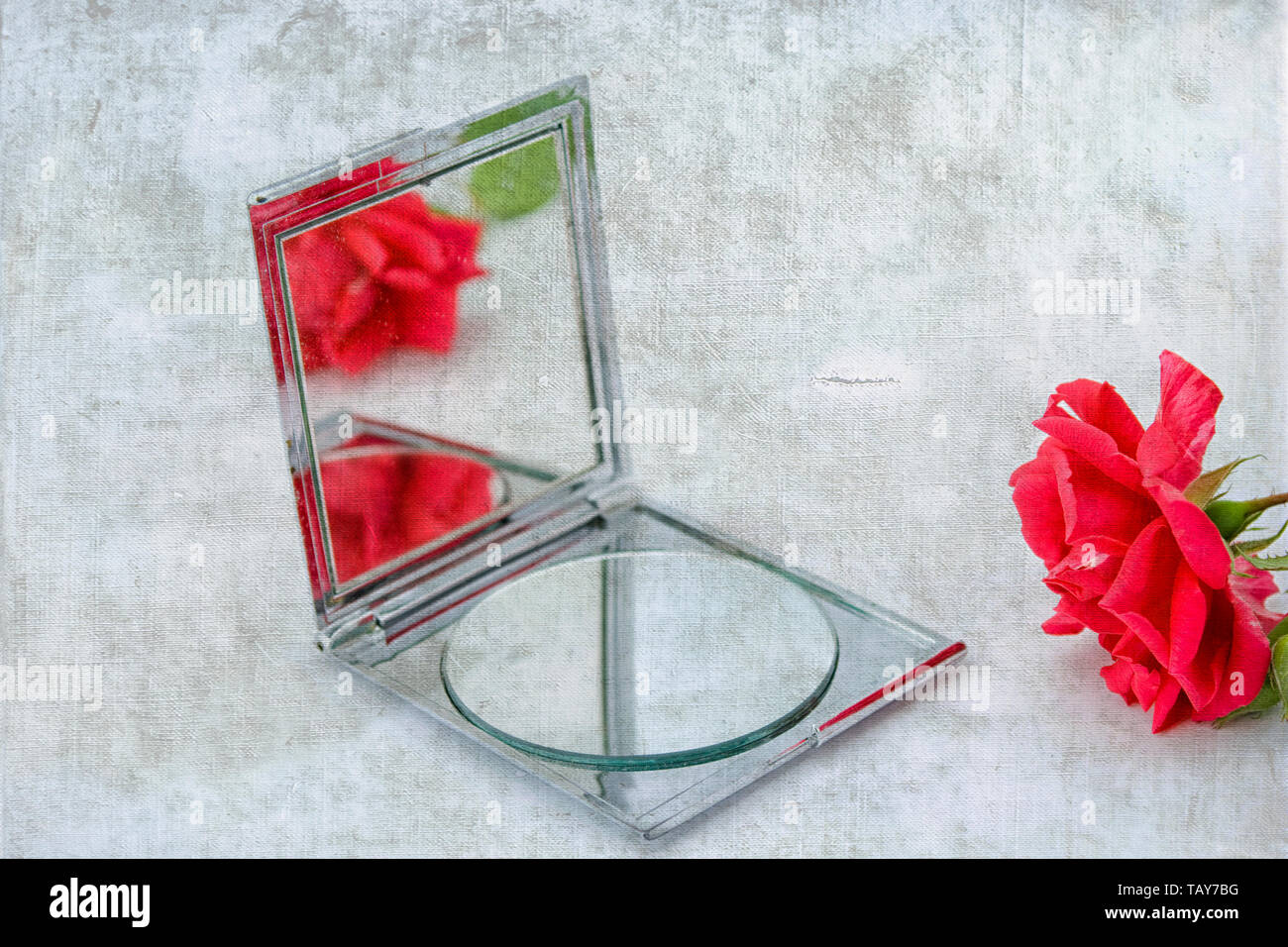 rose and mirror with reflection of the rose Stock Photo - Alamy