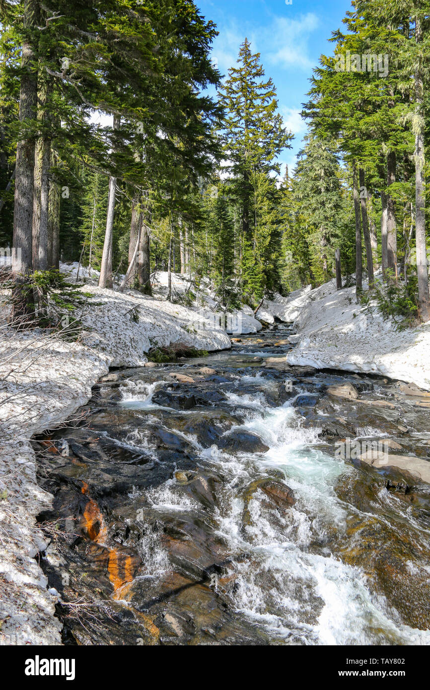 Paradise waterfall mount rainier hi-res stock photography and images ...