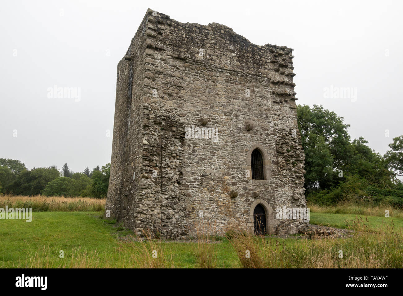 Threecastles Castle is a National Monument situated in Blessington ...