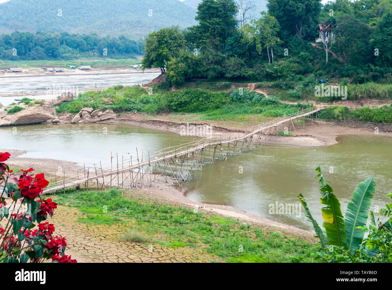 Small wooden Monkey bridge in Luang Prabang, Laos Stock Photo - Alamy