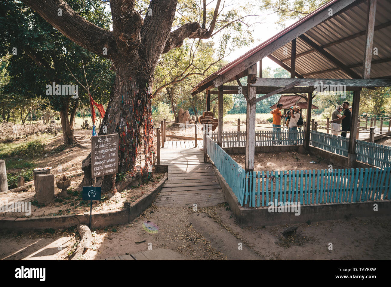 Killing tree hi-res stock photography and images - Alamy