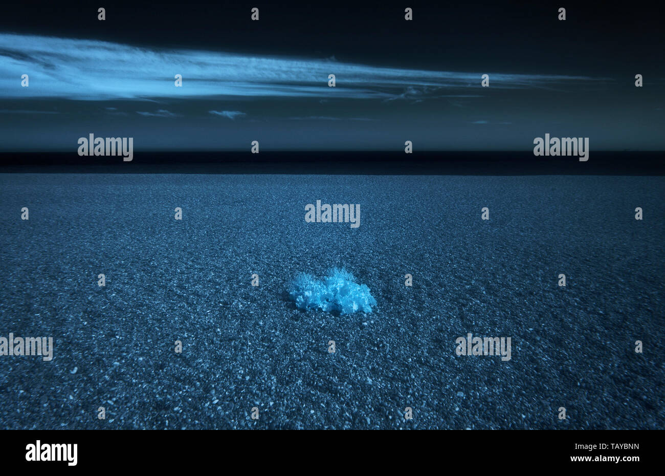 Coastline shingle hi-res stock photography and images - Alamy