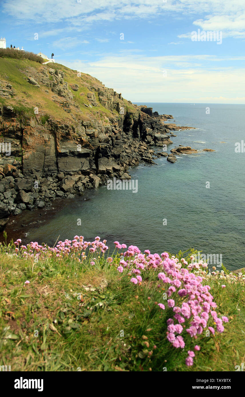 Lizard Point, Cornwall, UK Stock Photo - Alamy