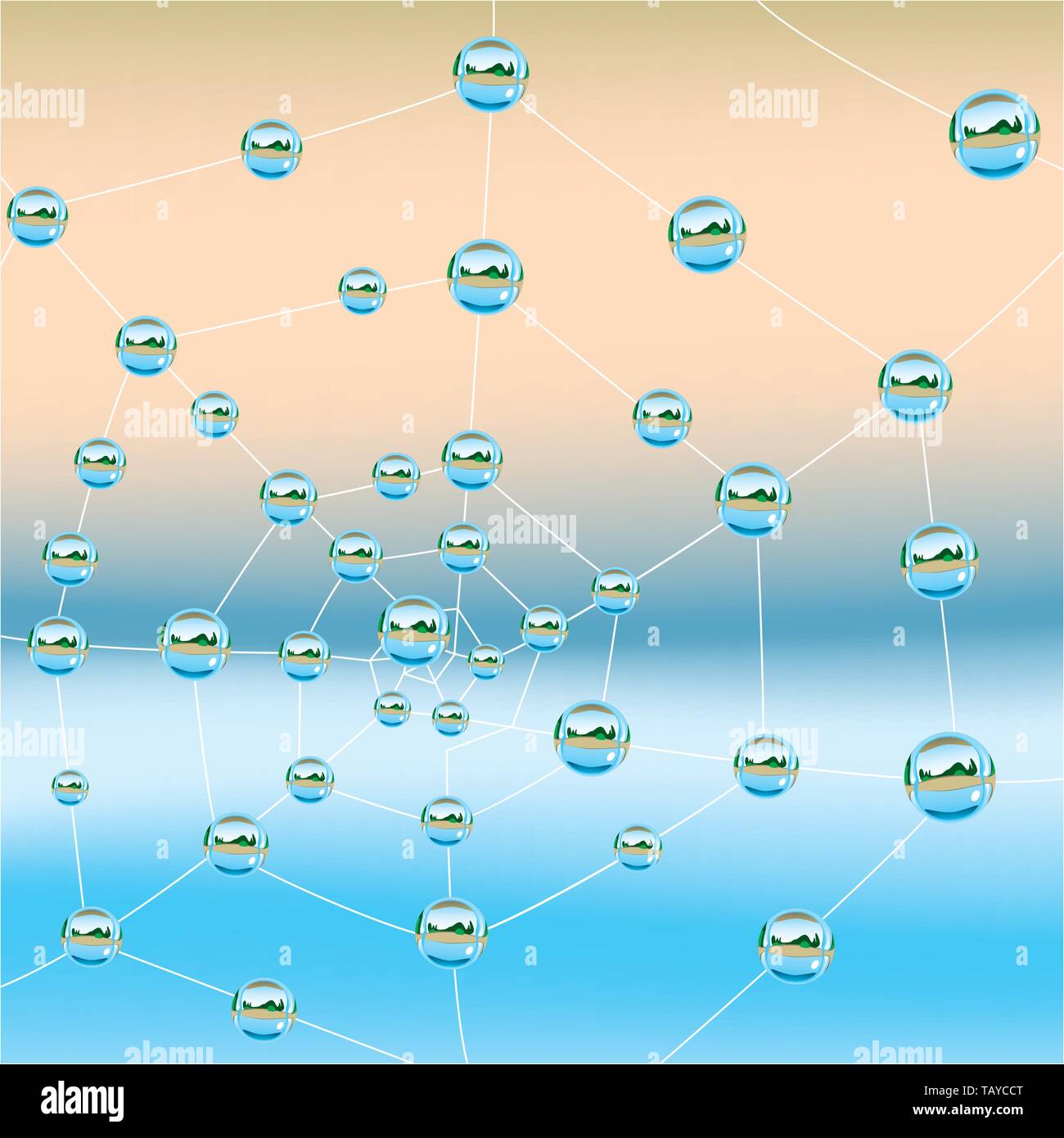 Vector illustration. Spyder net in the morning with water drops Stock ...
