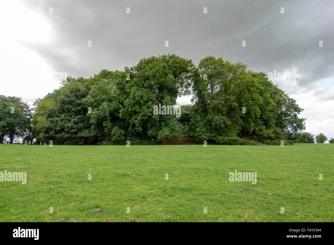 The Rath of Mullaghmast, an ancient mound in Co. Kildare, Eire Stock ...