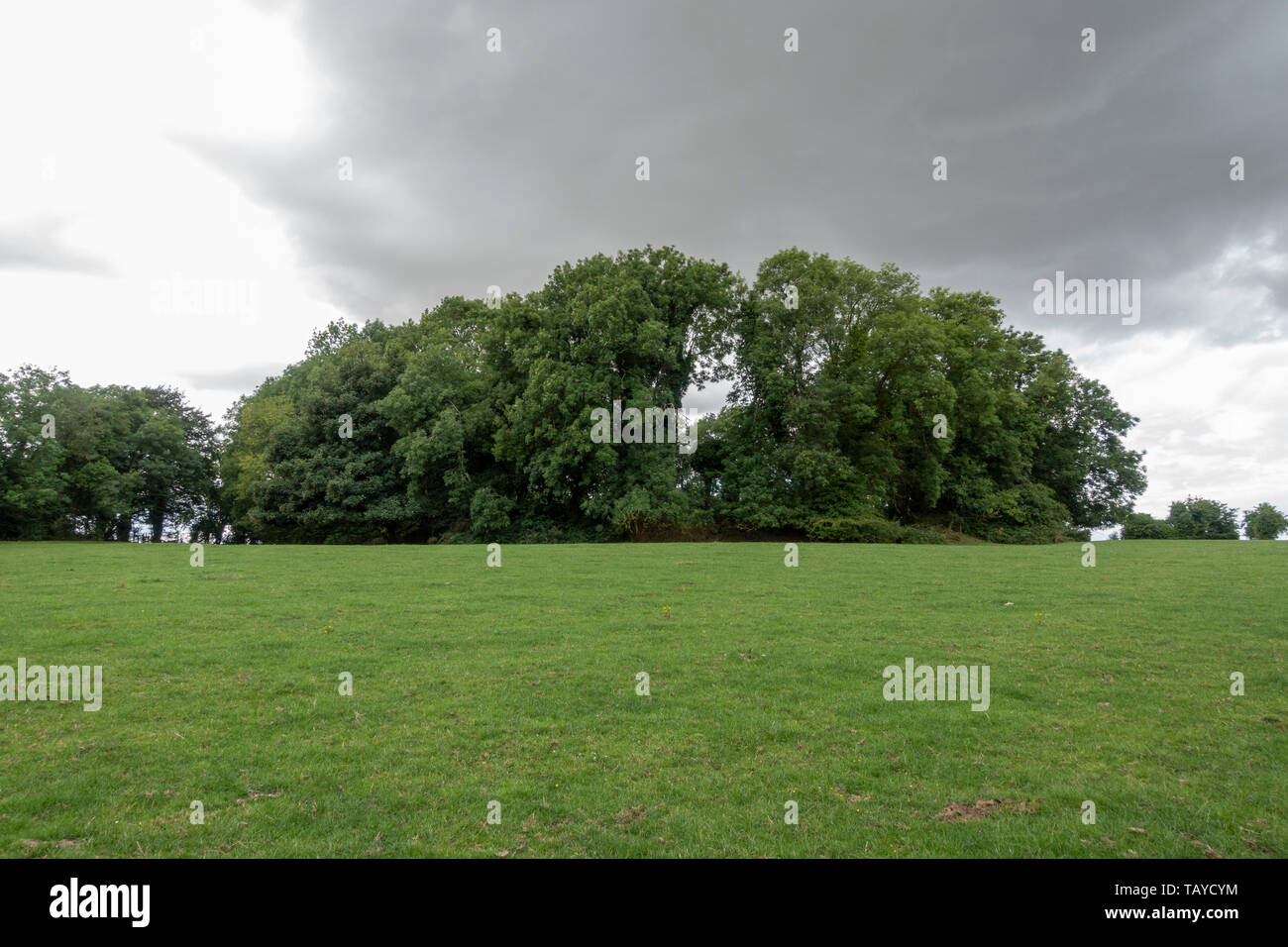 The Rath of Mullaghmast, an ancient mound in Co. Kildare, Eire Stock ...