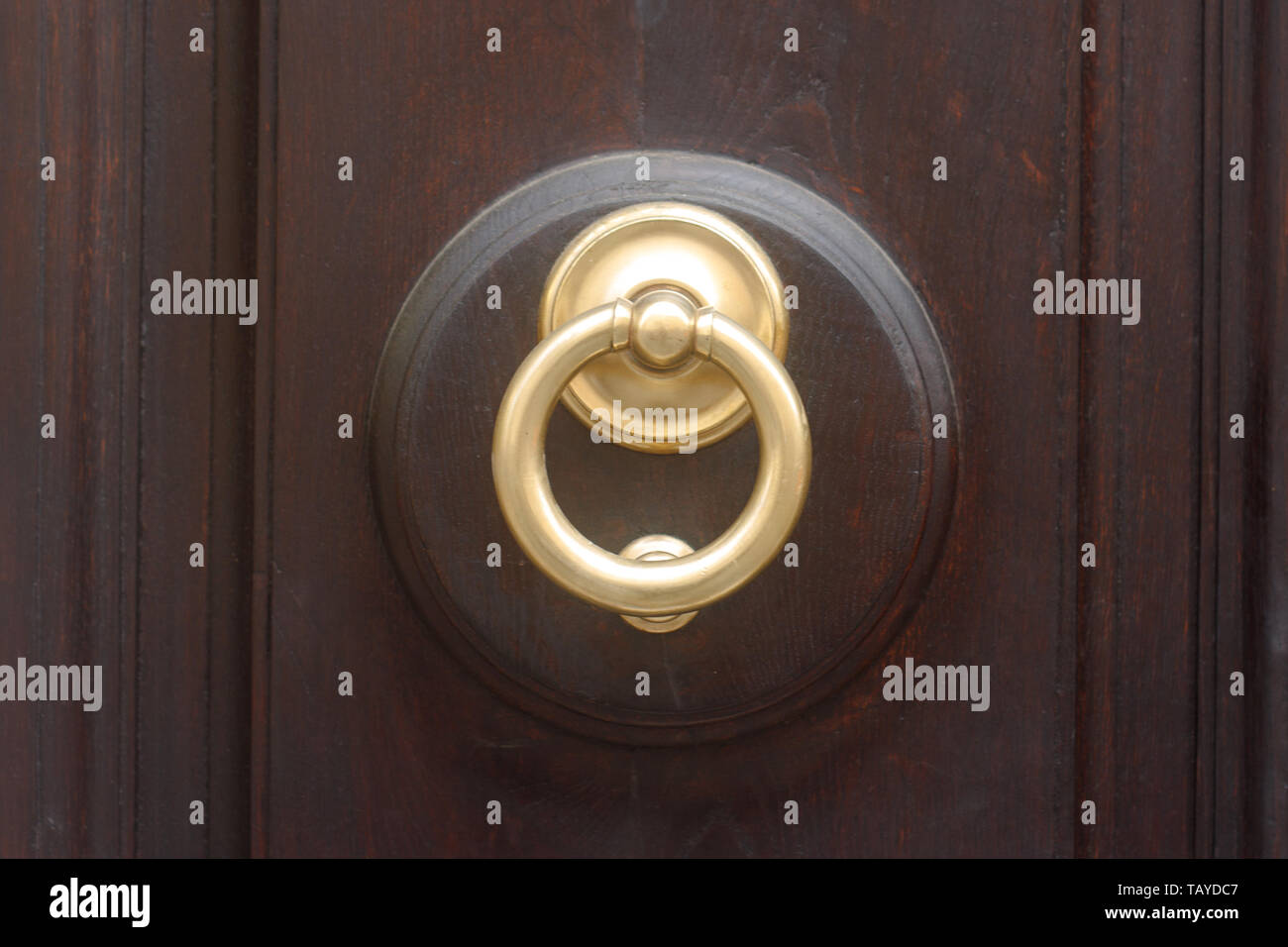 horizontal front view closeup on vintage golden door knob with knocking ...