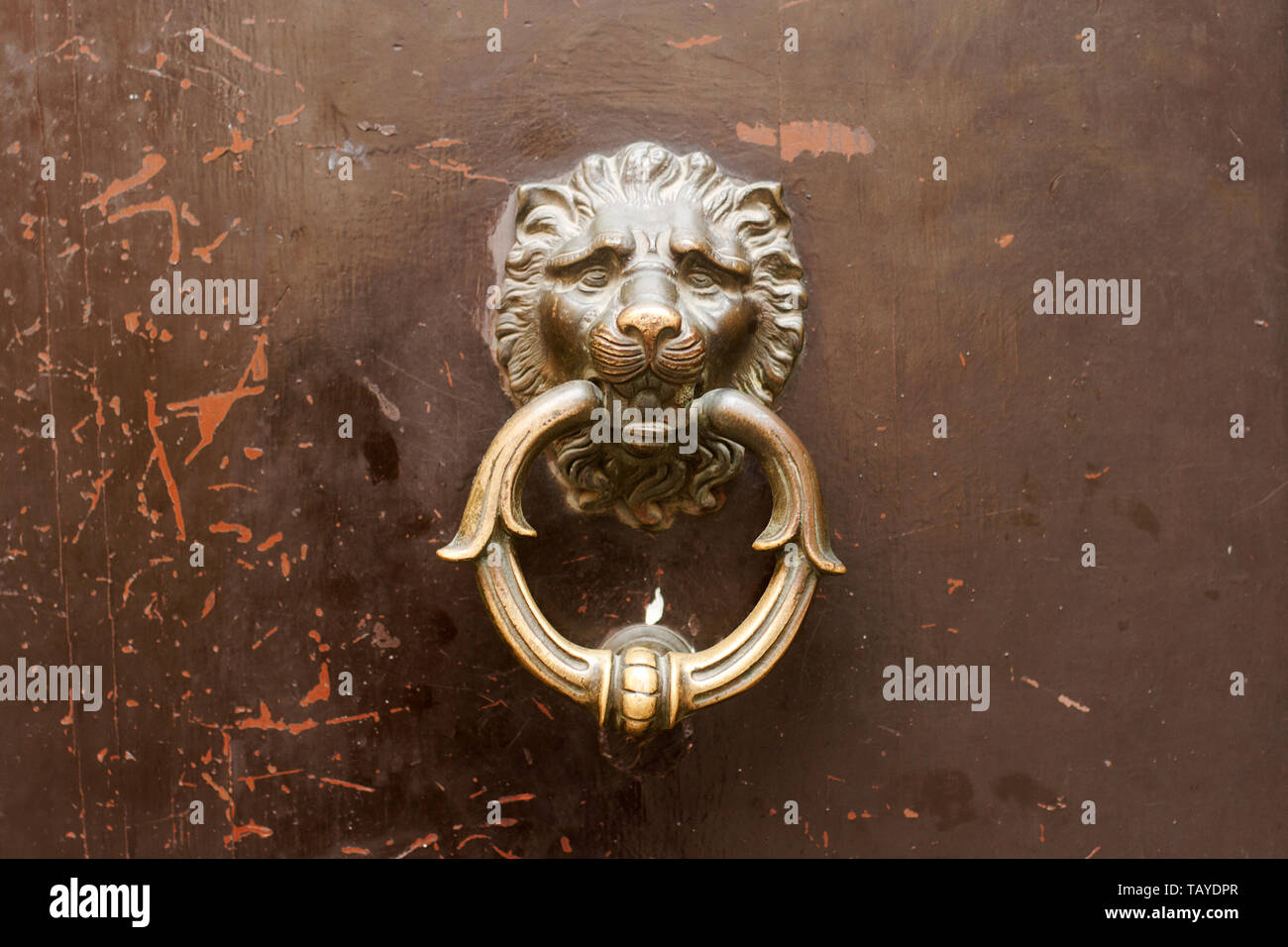 horizontal front view closeup on vintage lion head golden door knob ...