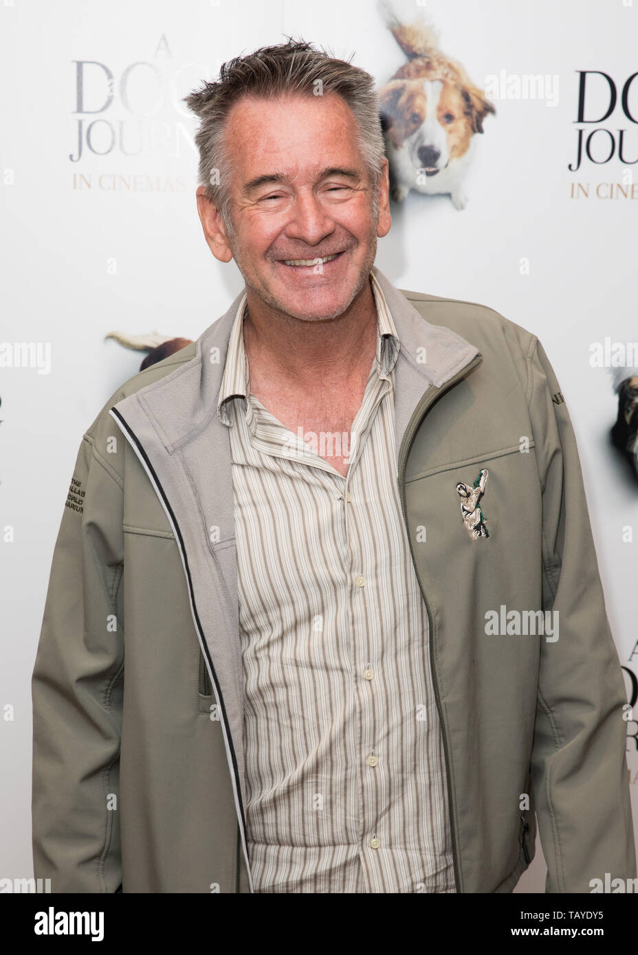 Guests attend 'A Dogs Journey' gala screening held at the Soho Hotel ...