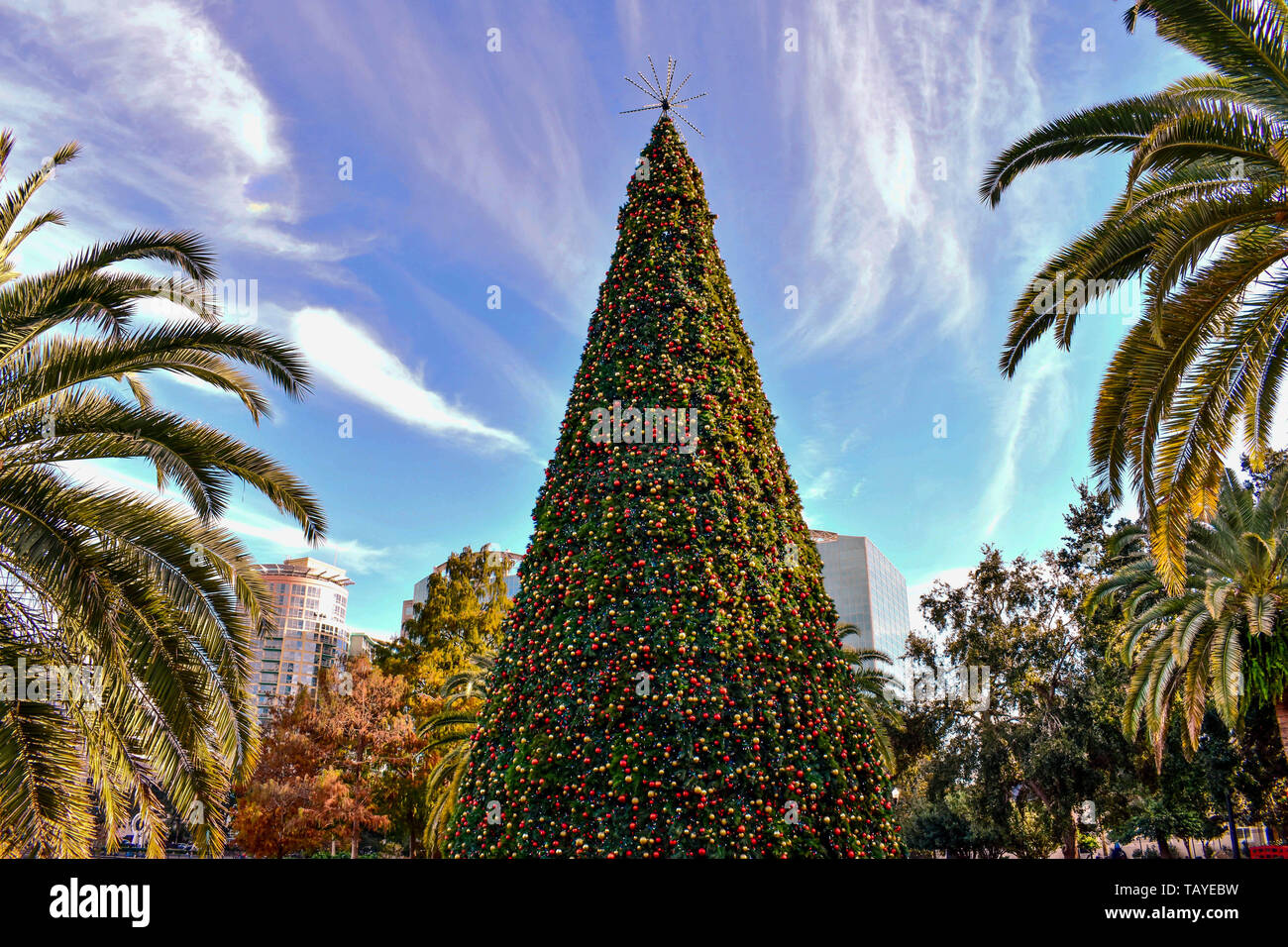 Orlando, Florida . December 24, 2018. Top view of Christmas Tree and ...