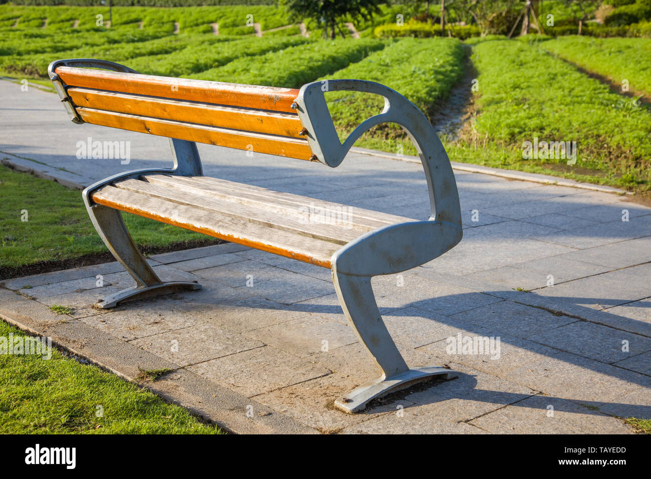 Wooden park bench hi-res stock photography and images - Alamy