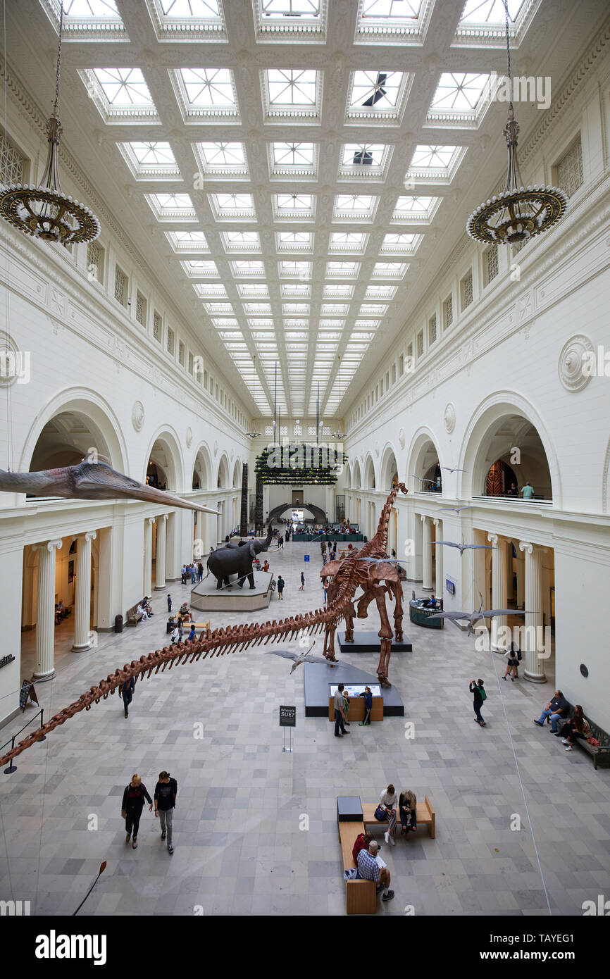 The main hall of the Field Museum of Natural History, Chicago, Illinois ...