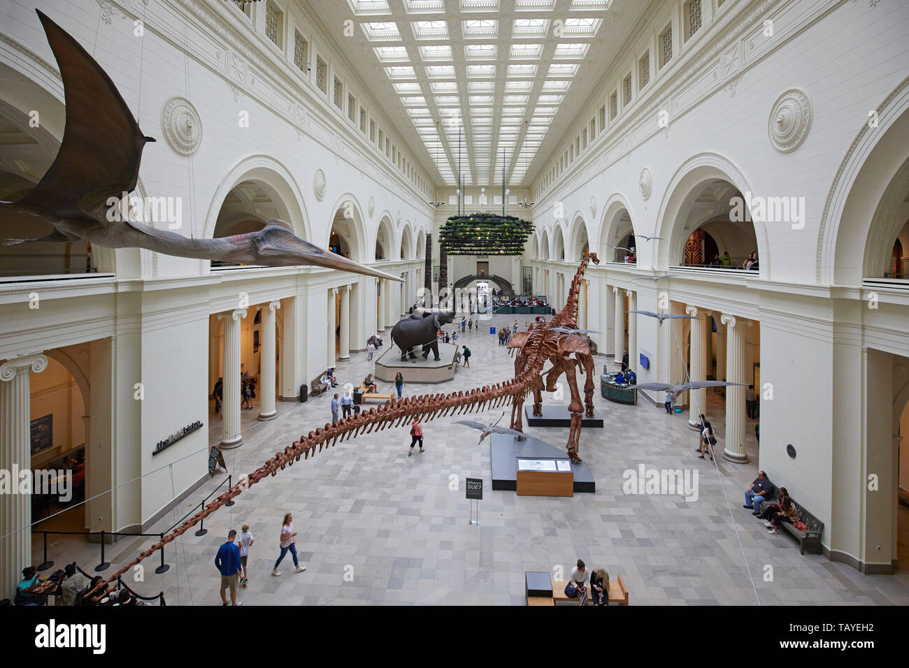The main hall of the Field Museum of Natural History, Chicago, Illinois ...