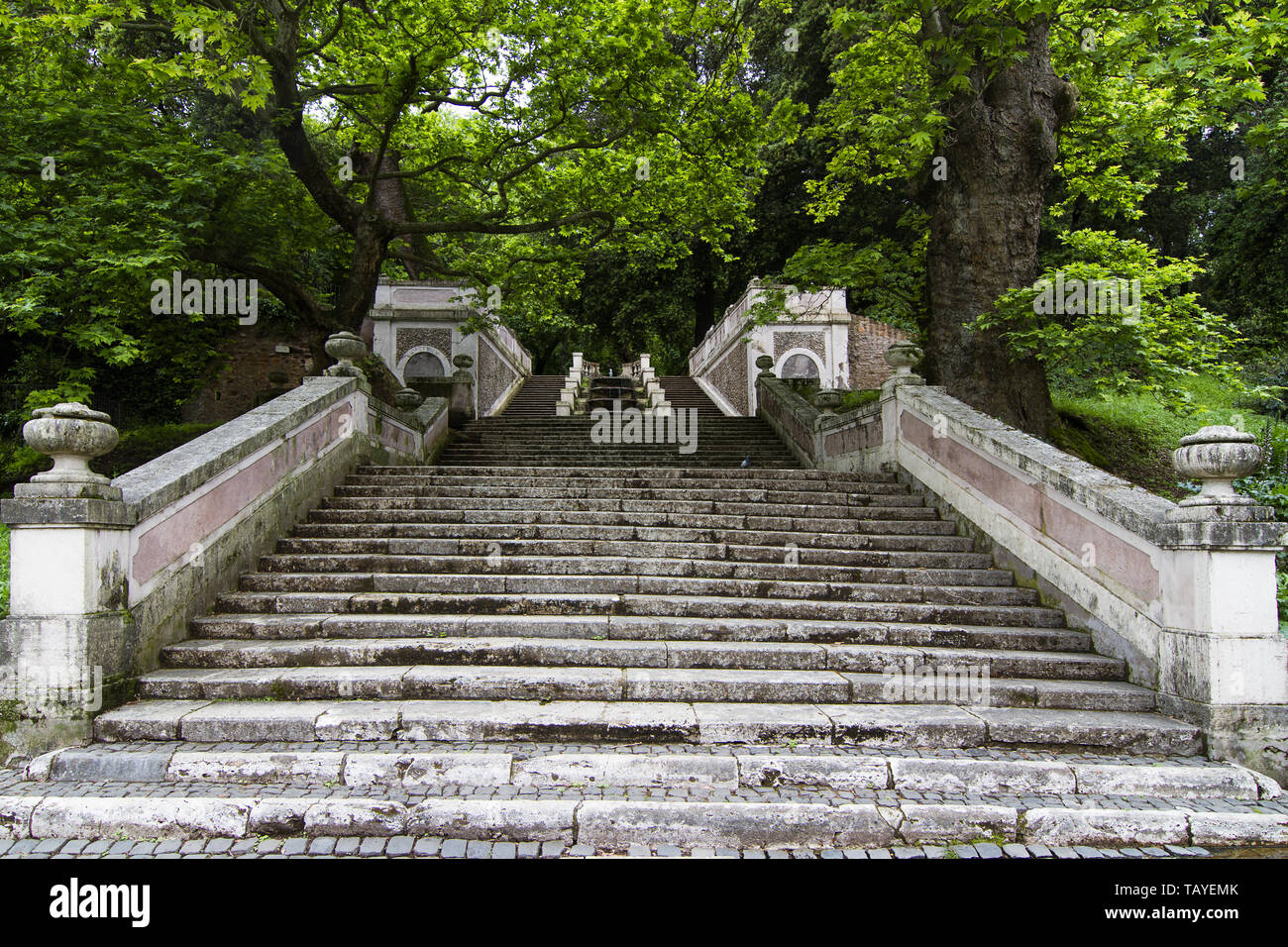 Is the ancient stone forest hi-res stock photography and images - Alamy