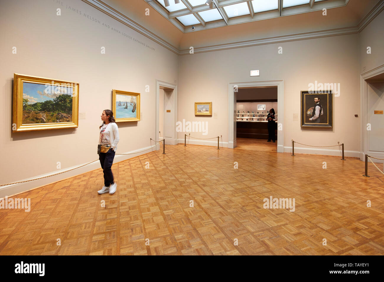 Art Institute of Chicago, Illinois, United States Stock Photo - Alamy
