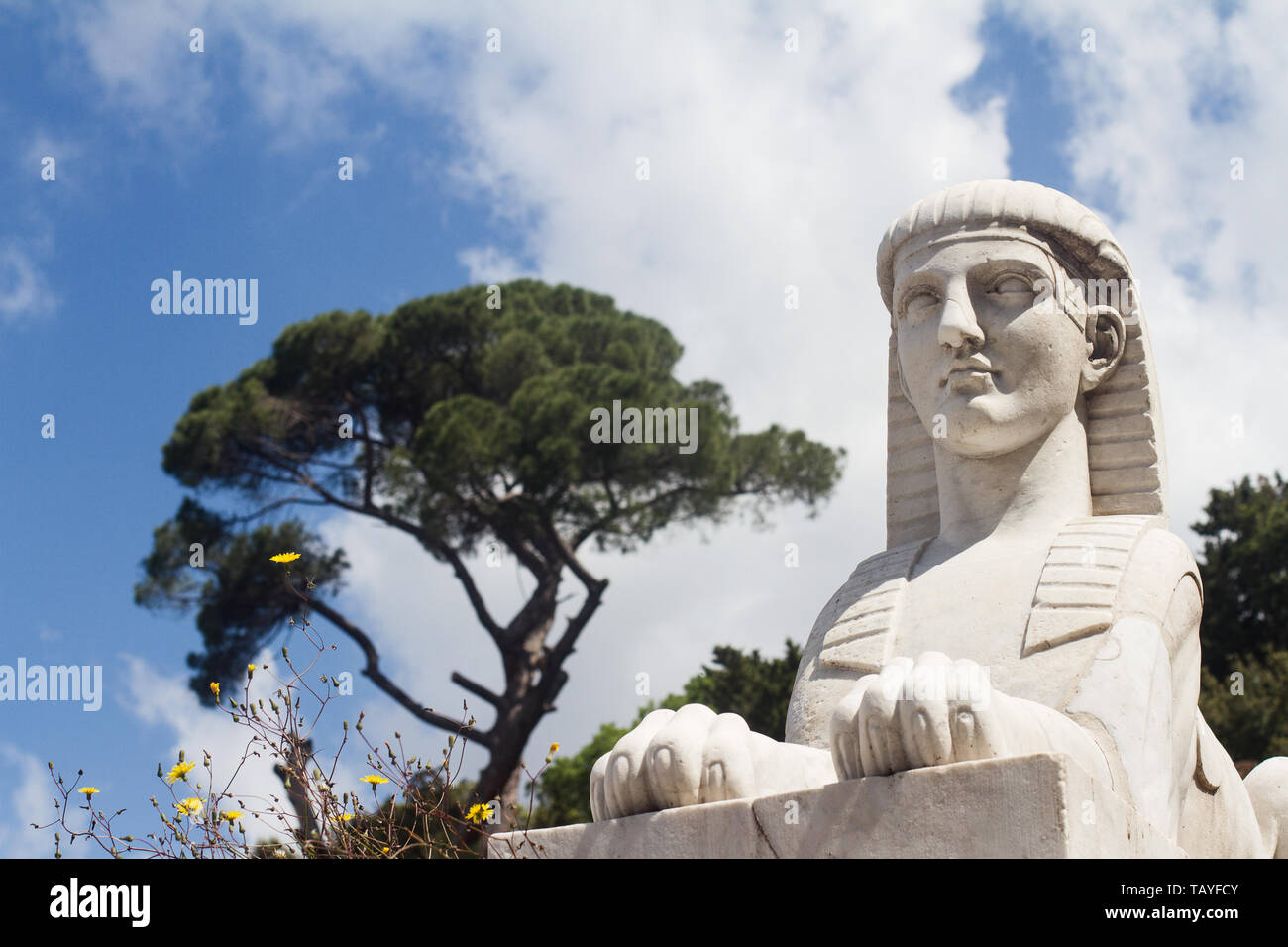 front view closeup of white marble stone statue sphynx in outdoor ...