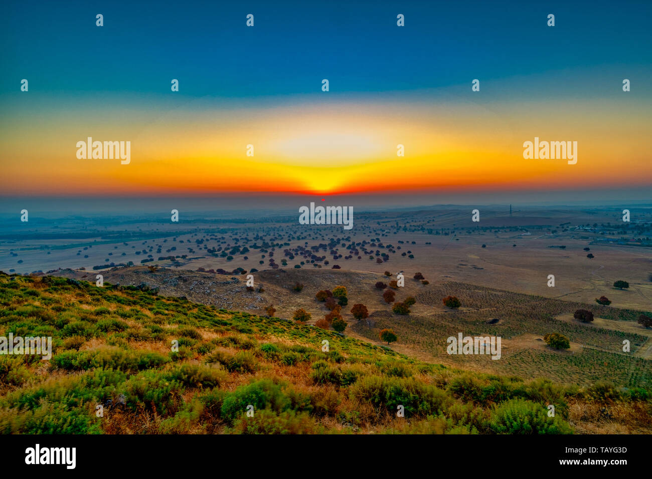 Sunrise panorama of maple tree forest against mountain range during ...