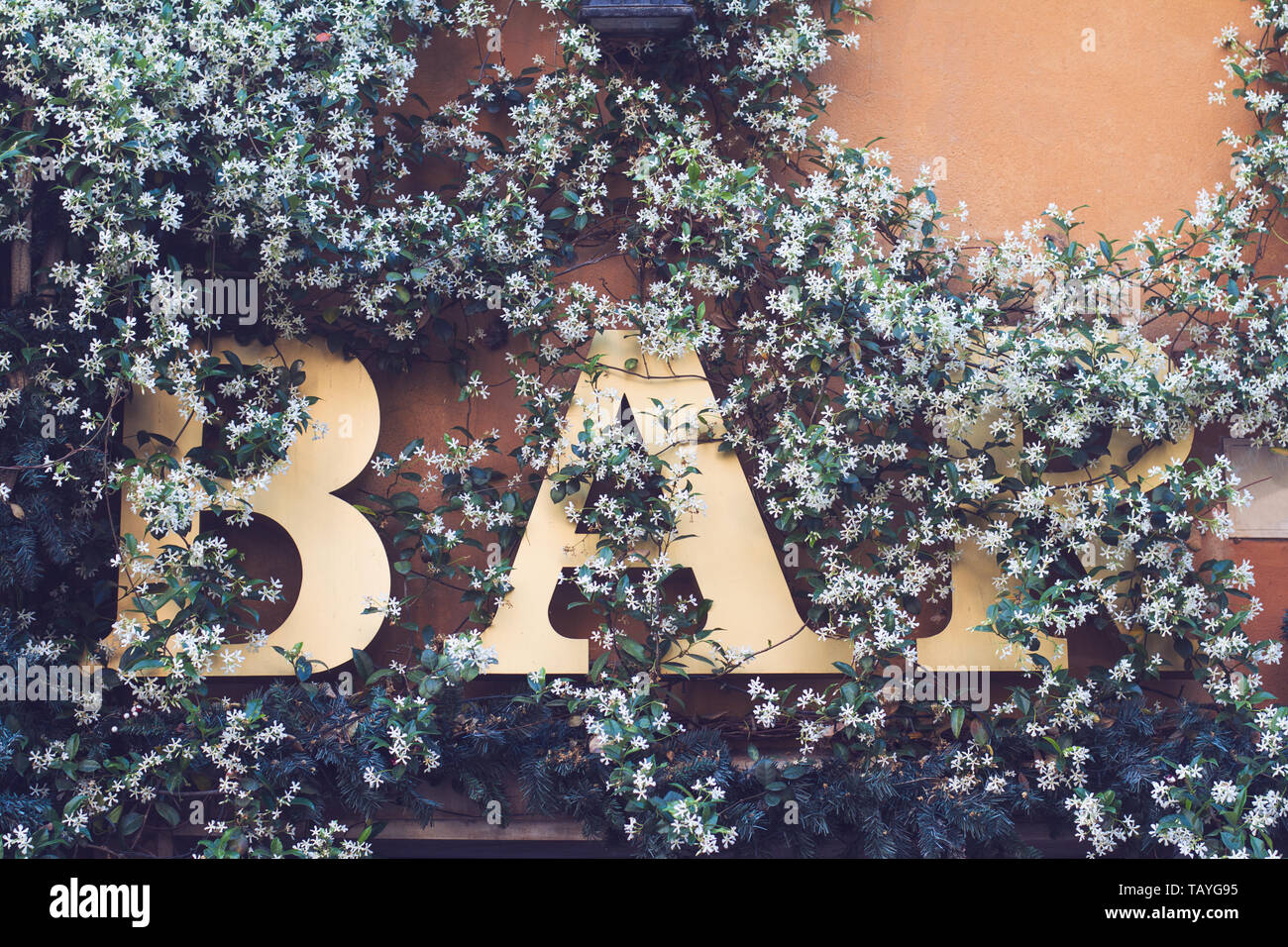 front view close up of cafe bar street signage exterior facade covered ...