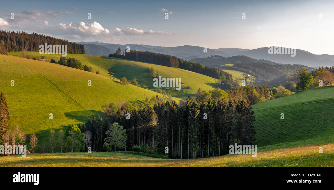Landscape near St.Märgen in the Schwarzwald in Germany Stock Photo - Alamy