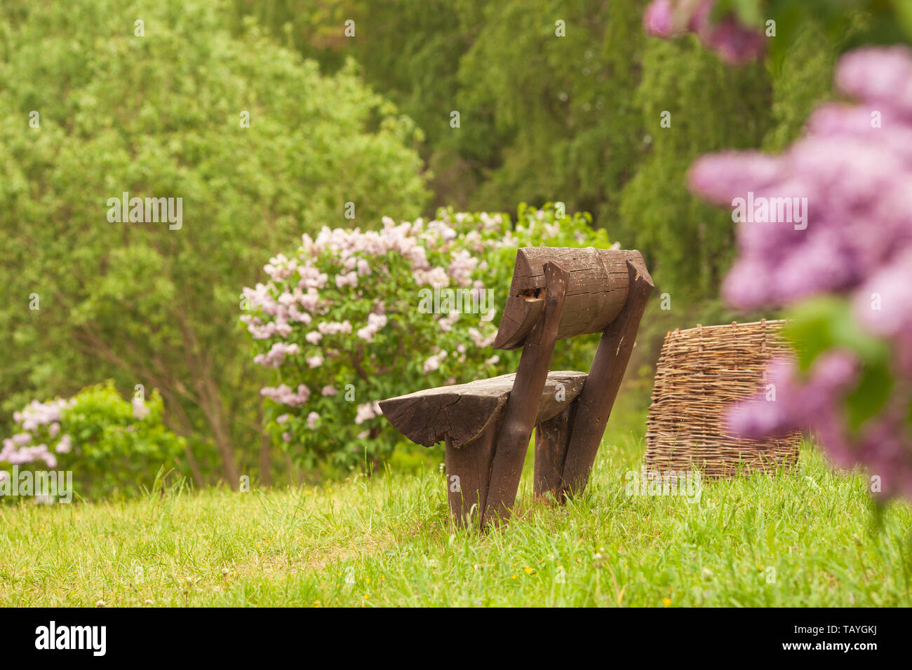 Wooden bench in a wildflower green garden with trees, in spring or ...