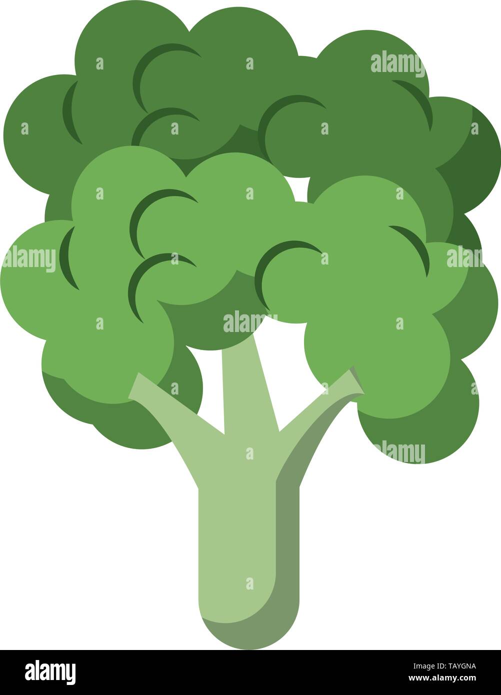 Broccoli fresh vegetable cartoon isolated Stock Vector Image & Art - Alamy