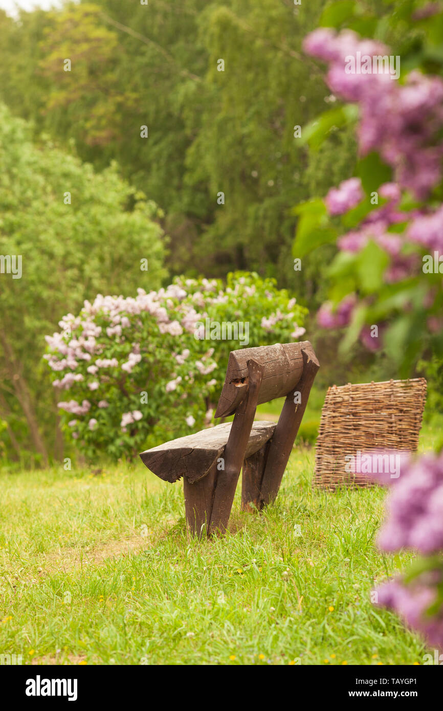 Wooden bench in a wildflower green garden with trees, in spring or ...
