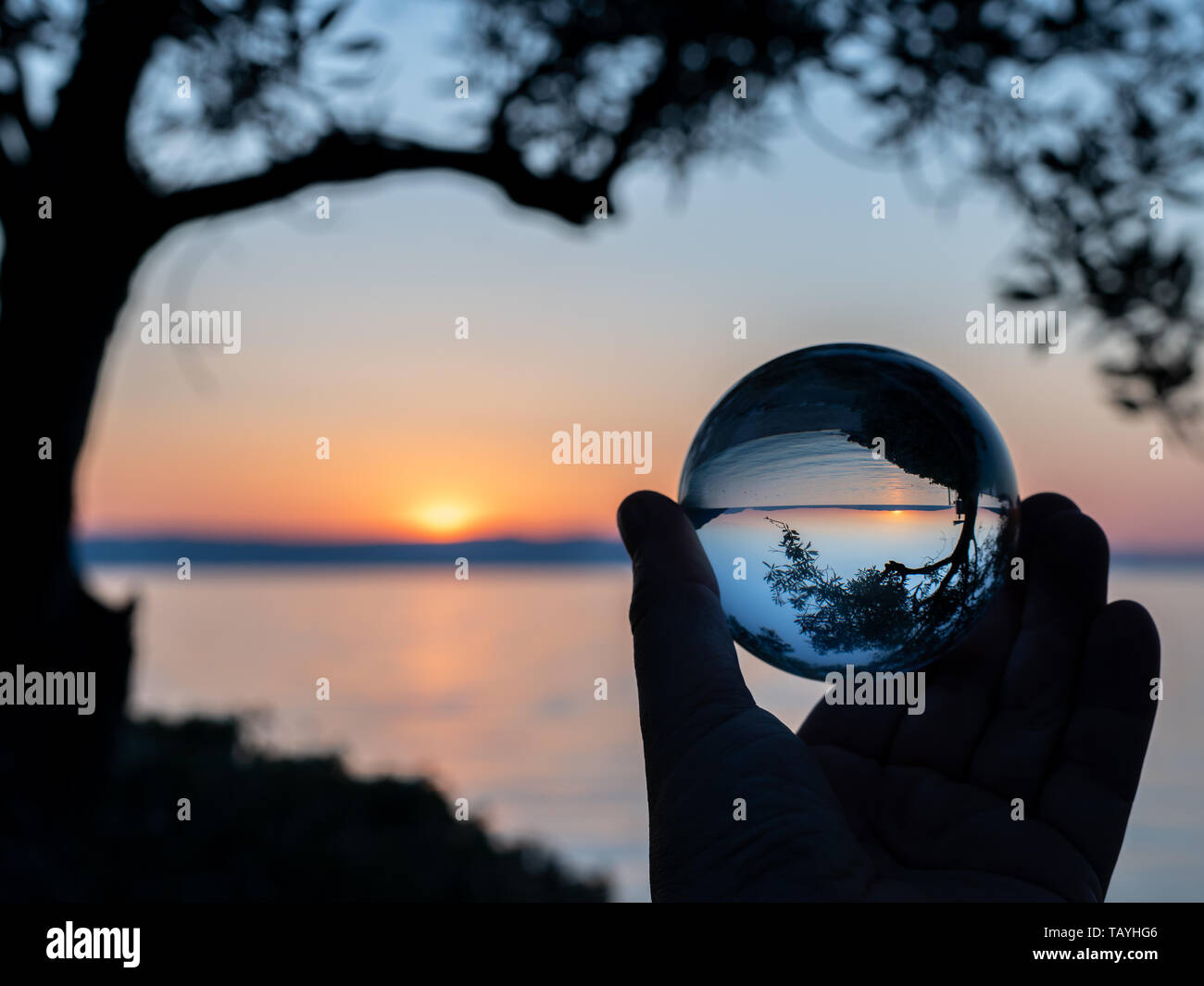 Sunset through glass sphere and olive tree branches at the beach of ...