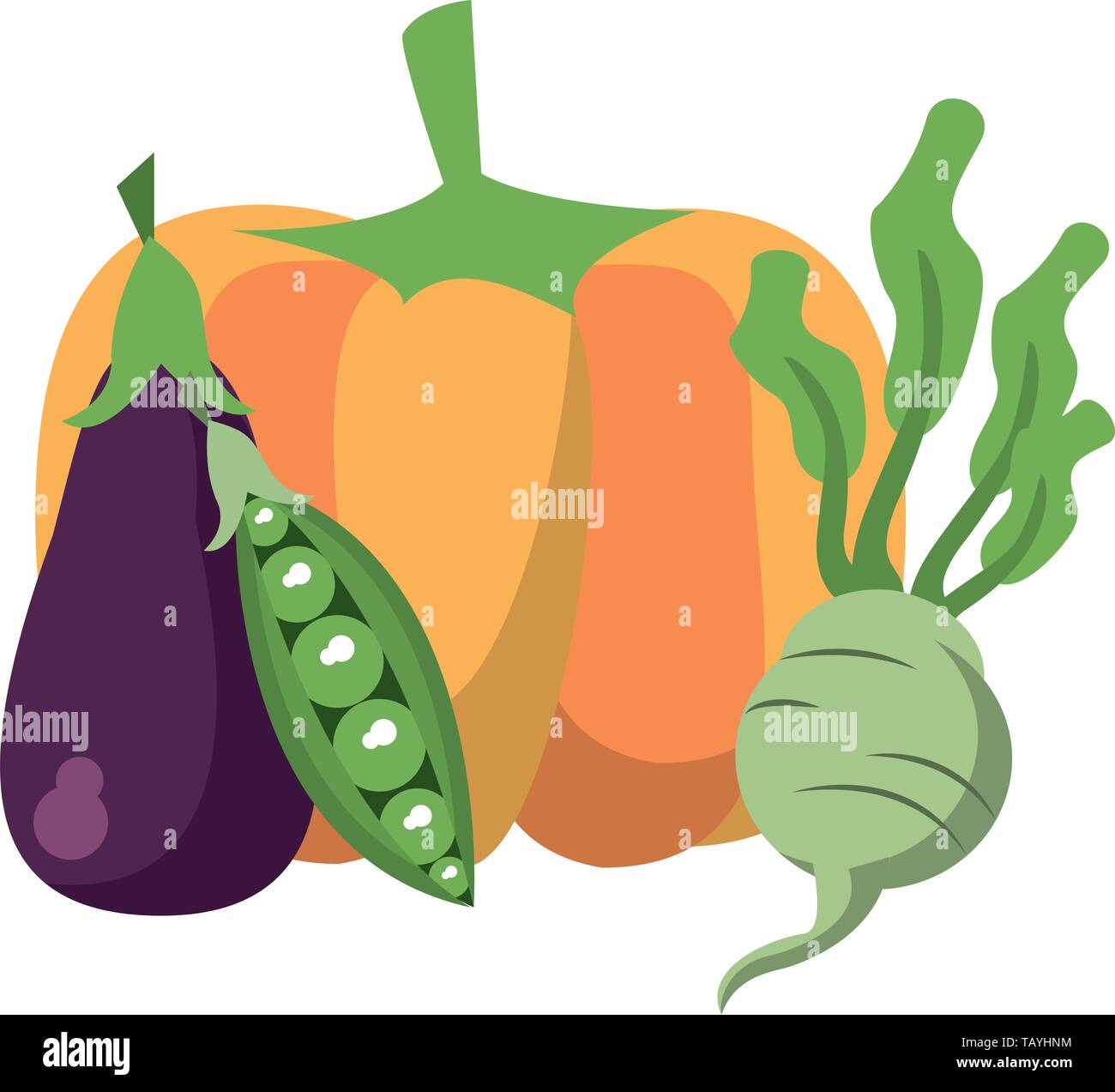 Pumpkin radish and peas with eggplant Stock Vector Image & Art - Alamy