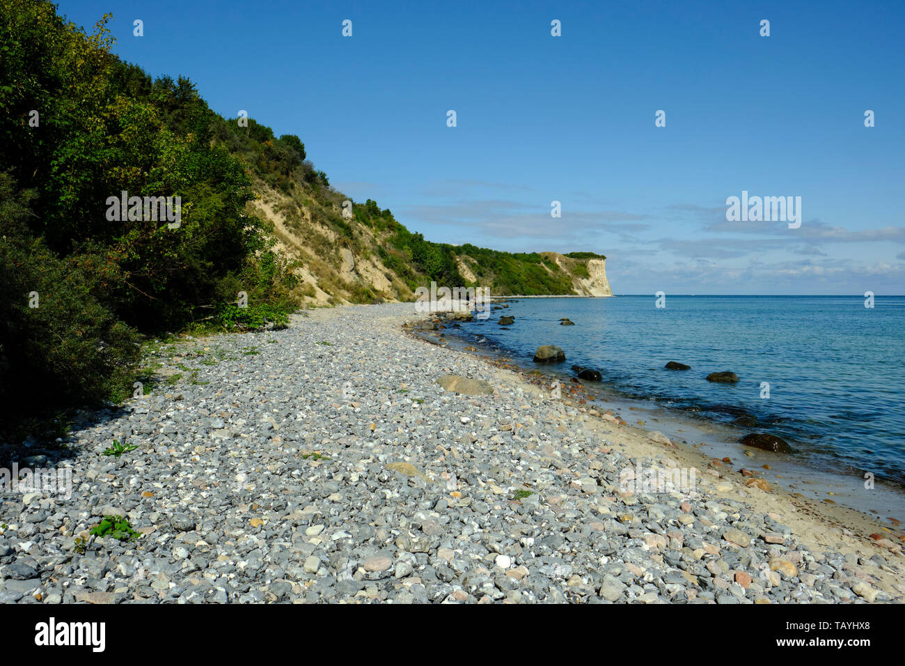 The chalk cliffs and coastline landscape on the Baltic island of Rugen ...
