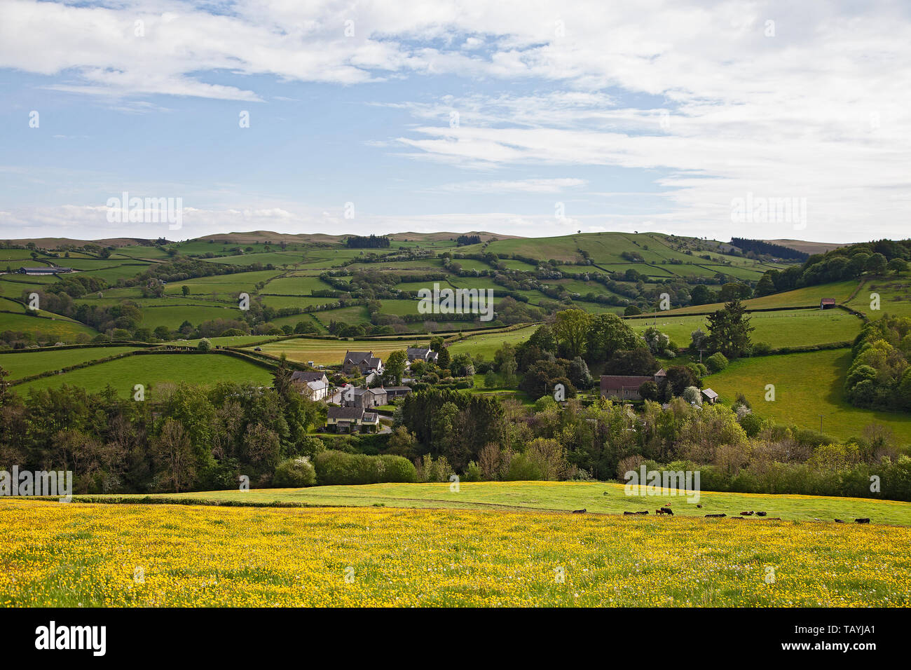 Nr erwood hi-res stock photography and images - Alamy