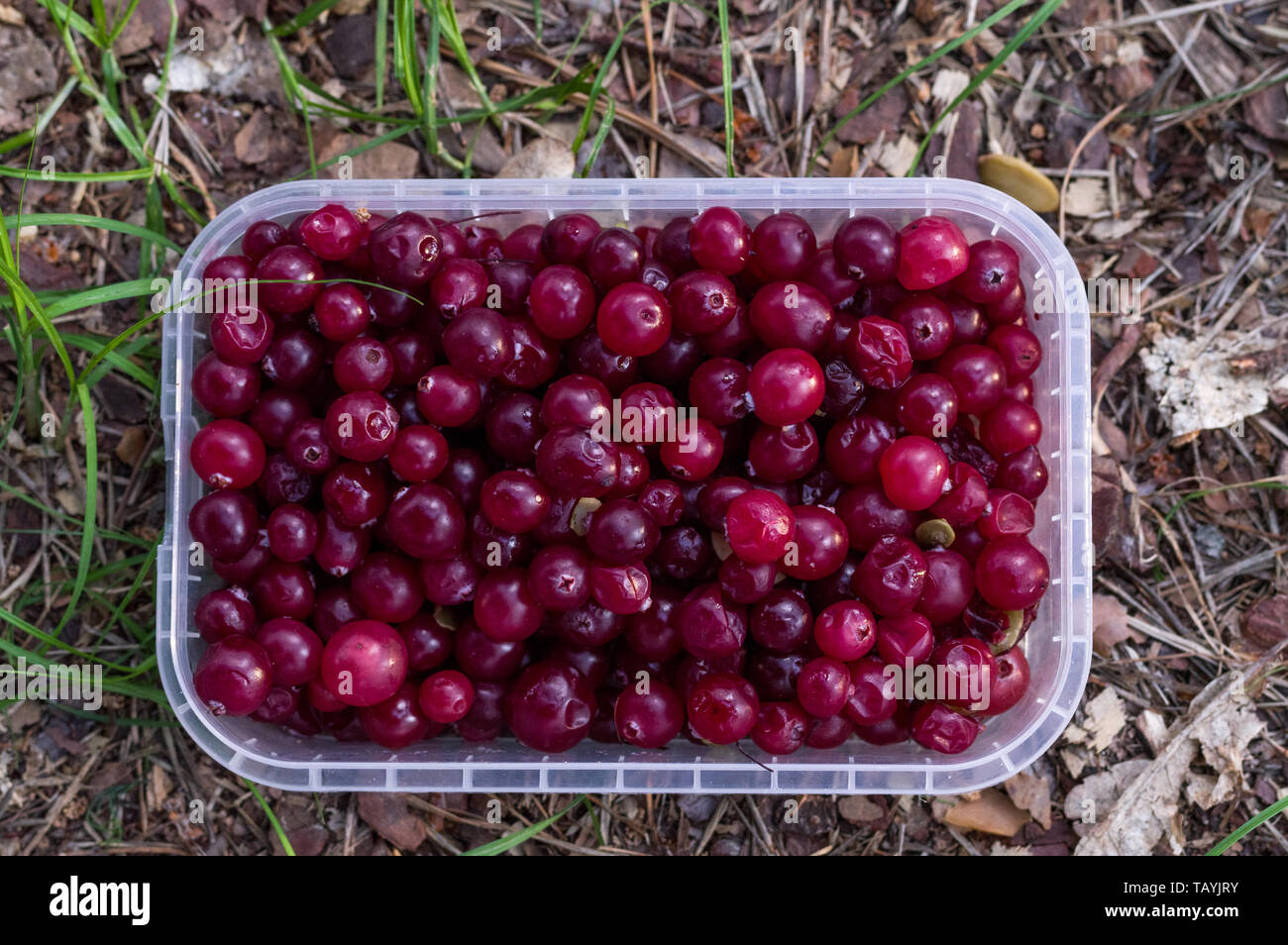 Pharmacy store plate hi-res stock photography and images - Alamy