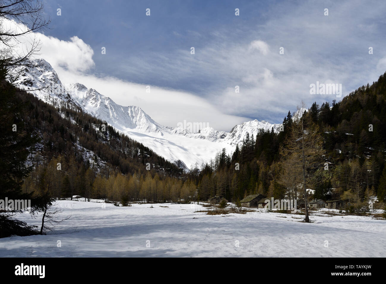 Alps traditional houses in alpe Laresìn in Val Sissone Stock Photo - Alamy
